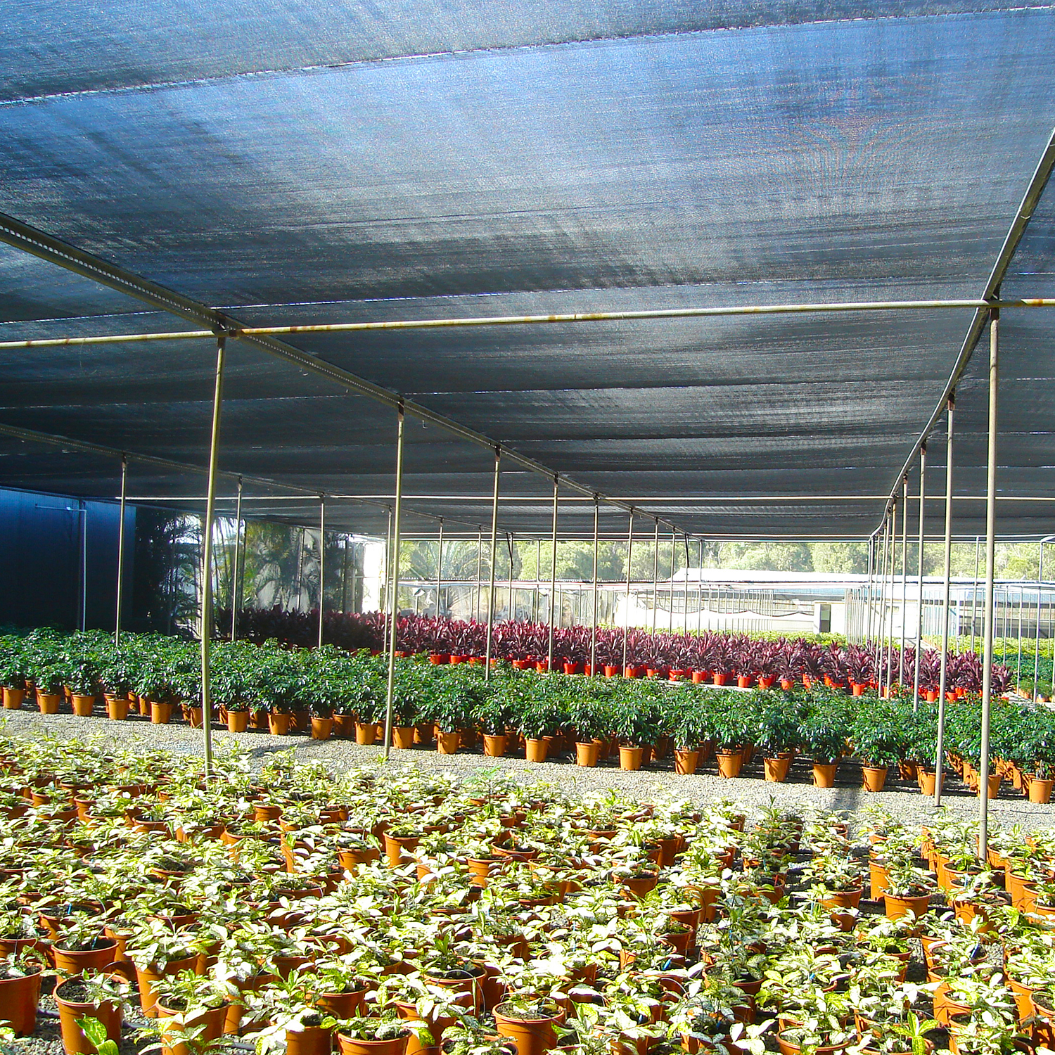 ALLPRO Commercial Shadecloth 50% Black 3.66m x 50m - All Trade and Shade